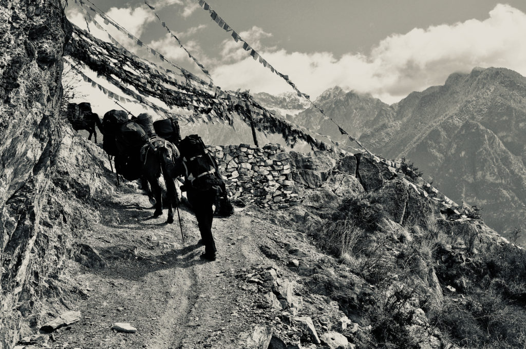 Jeff Fuchs' Tea and Mountain Journals - Here is a space that exists ...