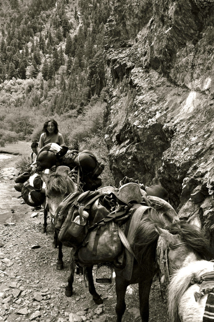 Jeff Fuchs' Tea and Mountain Journals - Here is a space that exists ...